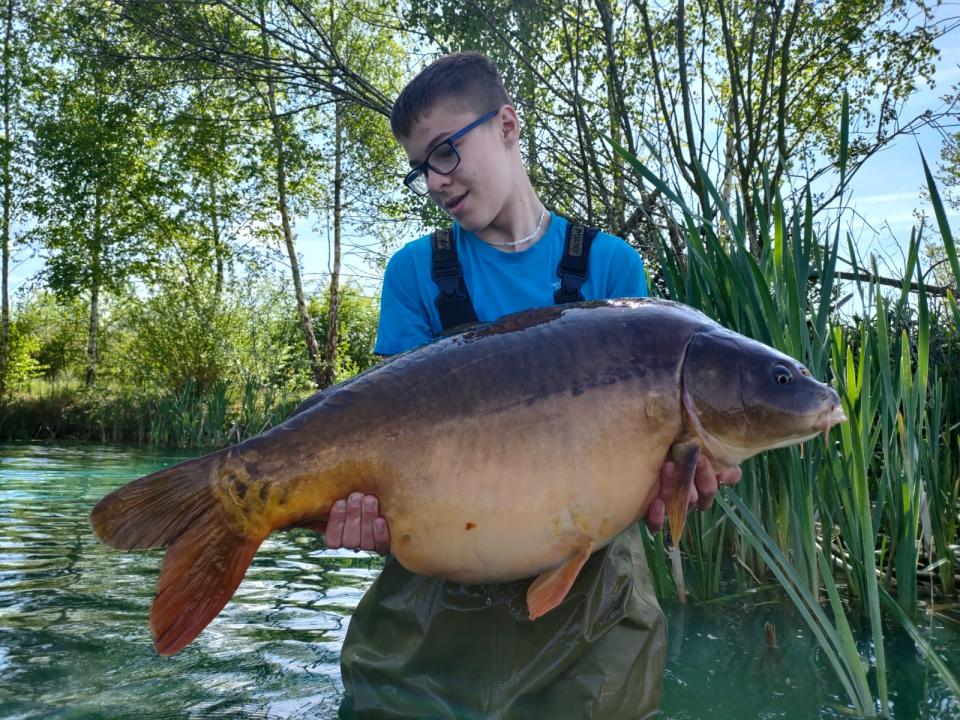 Birch beauty | Total Carp
